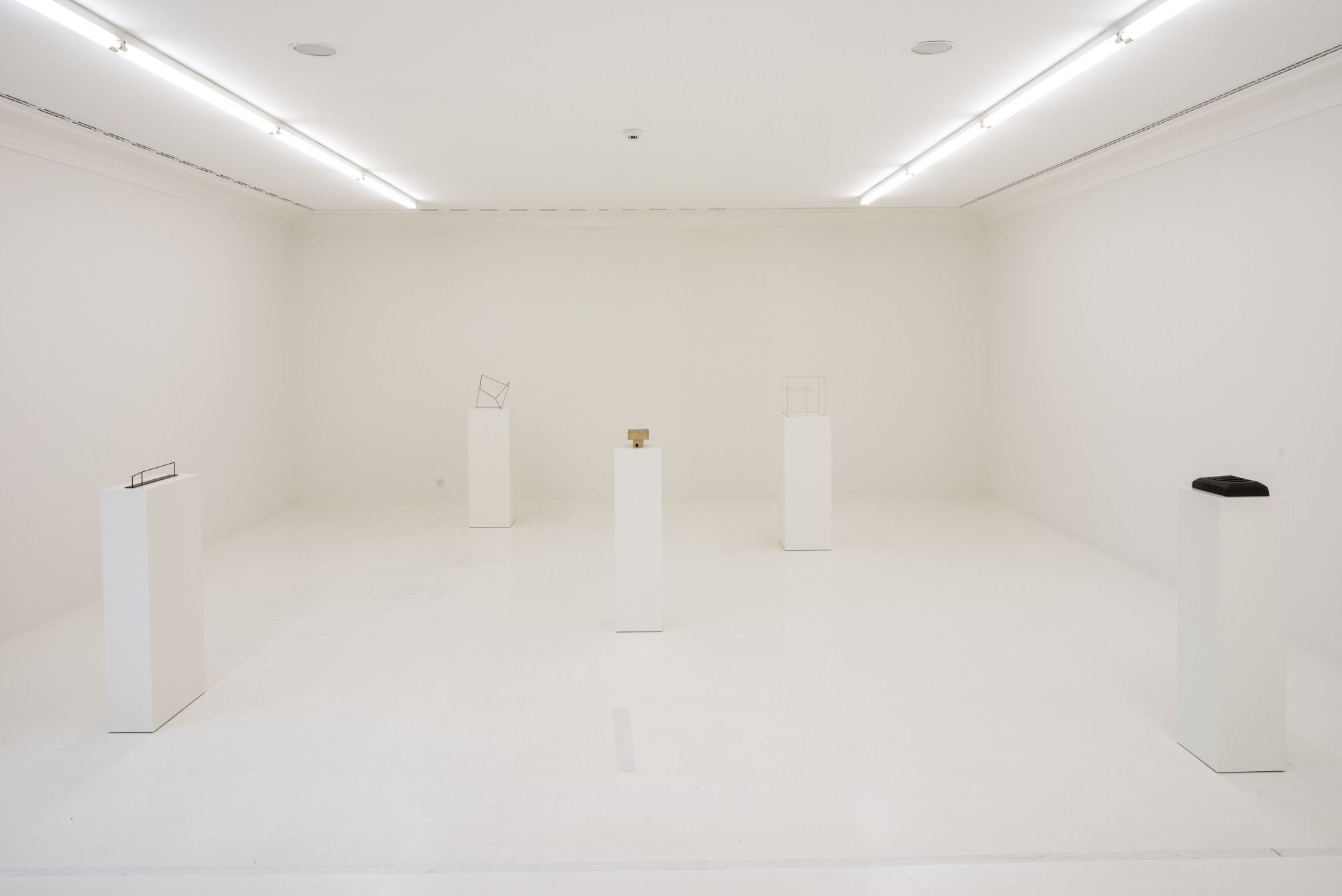 Never Now – Art from Zurich – Helmhaus